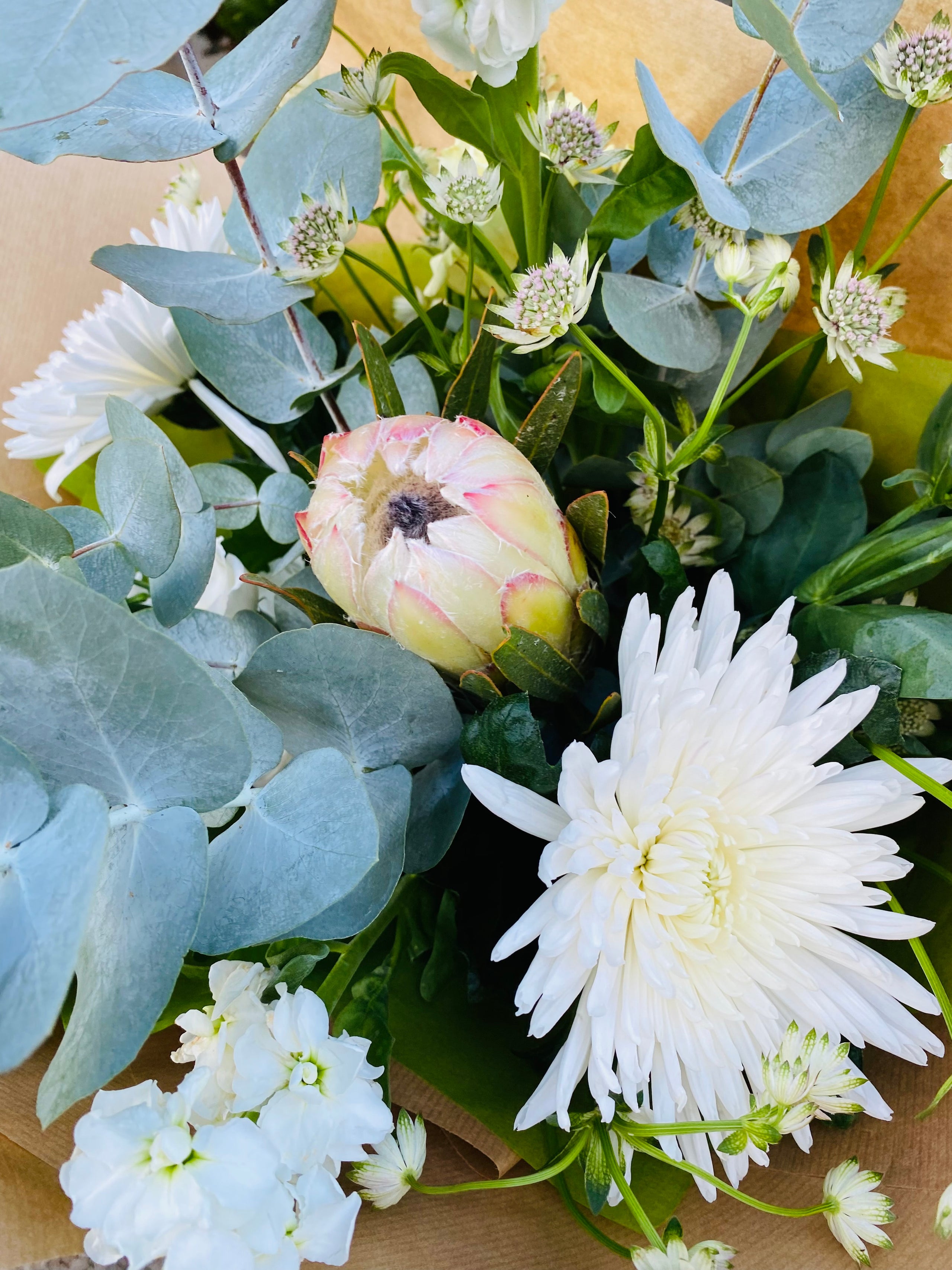 Frosty Morning | The Little Garden Florist and Plant Shop